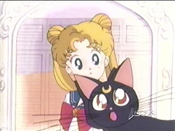 June 9, 1997 | USA Network Broadcast Archives Wiki | Fandom