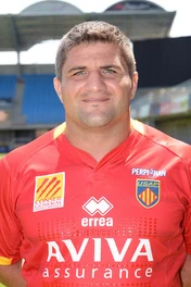 Paulica Ion | Wiki USAP | Fandom