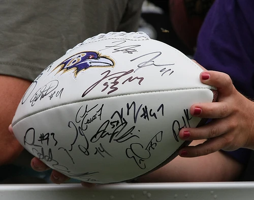 Baltimore Ravens | USA Sports Wiki | Fandom