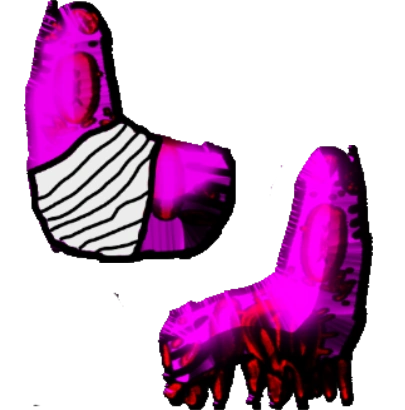 Discuss Everything About Useless Rooms Wiki | Fandom