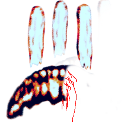 Discuss Everything About Useless Rooms Wiki | Fandom