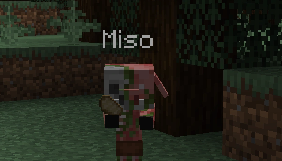 Miso | Usersmp Wiki | Fandom