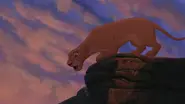 Nala | Usher's The Lion King Wiki | Fandom