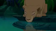 Nala | Usher's The Lion King Wiki | Fandom