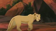 Nala | Usher's The Lion King Wiki | Fandom