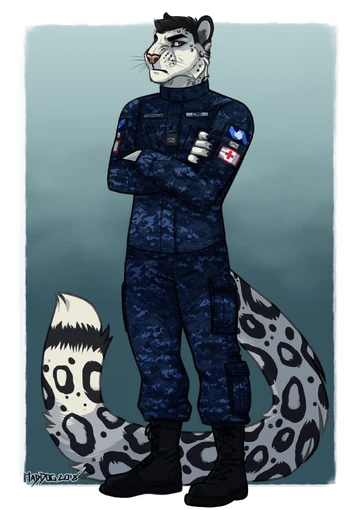 Cyberian Military Forces | Antarctic State of Cyberia Wiki | Fandom