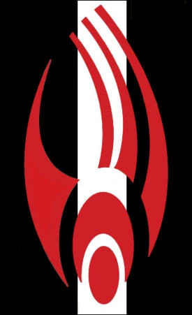 Borg Collective | U.S.S Hawkins Wiki | Fandom