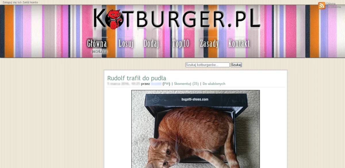 Kotburger.pl | Usuń konto Wiki poradnik Wiki | Fandom