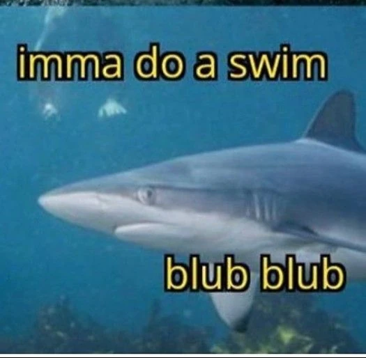 Sharky McSharkerston | UTAU Wikihouse Wiki | Fandom