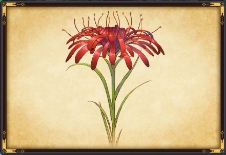 Eternity Flower | Utawarerumono Wiki | Fandom