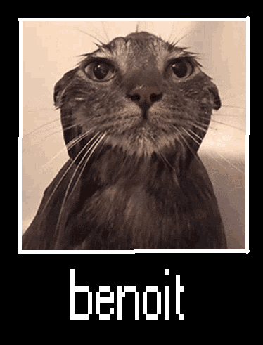 Benoit | Wiki LNF | Fandom