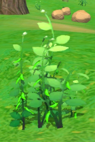 Green Pepper Sprout | Utopia:Origin Wiki | Fandom
