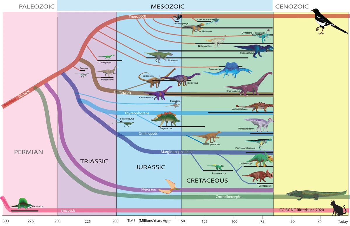 Dinosaurs Through Time | UUDino Wiki | Fandom