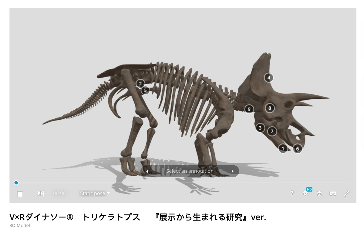 Utahceratops | UUDino Wiki | Fandom