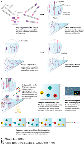 DNAseq: Illumina | UVM Genetics & Genomics Wiki | Fandom