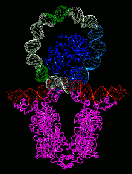 Biochemistry | UVM Genetics & Genomics Wiki | Fandom