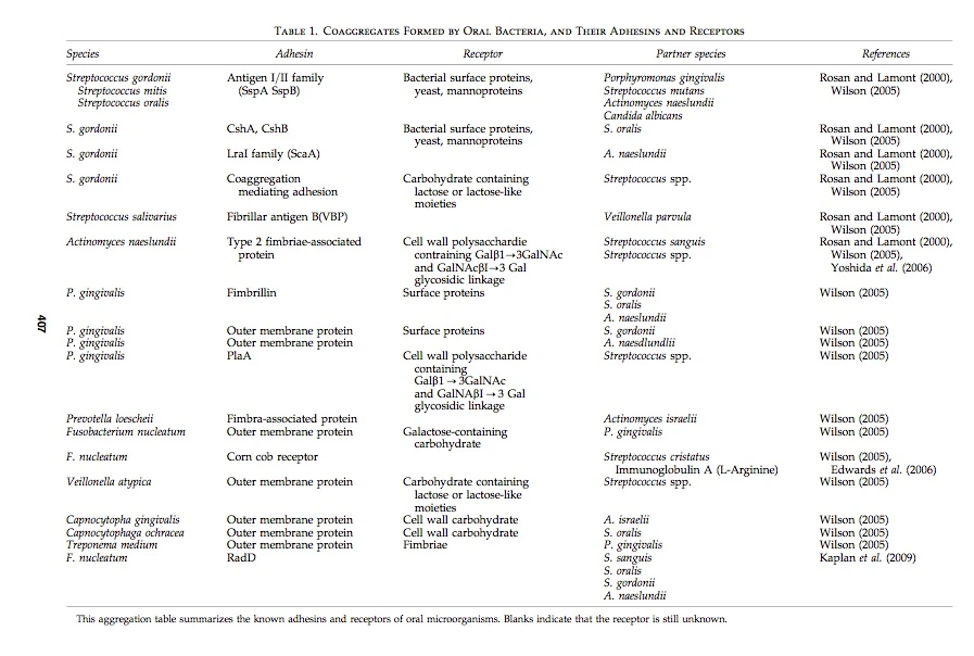 Oral Microbiota | UVM Genetics & Genomics Wiki | Fandom