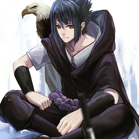 Sasuke | V-sasuke Wiki | Fandom