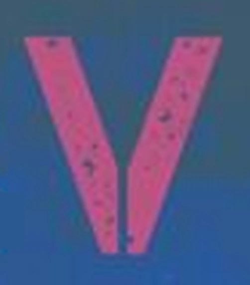 Vincent Five | V2 Chronicles Wiki | Fandom