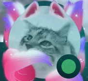 Bamsen | VÆB Gang Wiki | Fandom