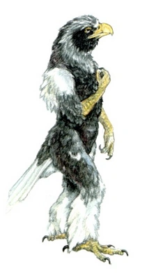 Tervardi | Valdemar Wiki | Fandom