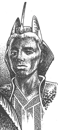 Palisar | Valdemar Wiki | Fandom