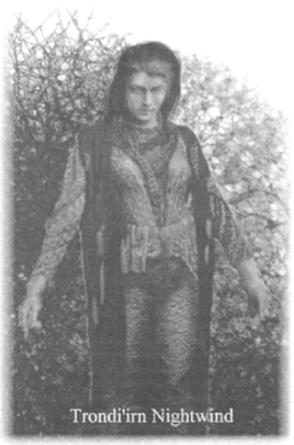 Nightwind | Valdemar Wiki | Fandom