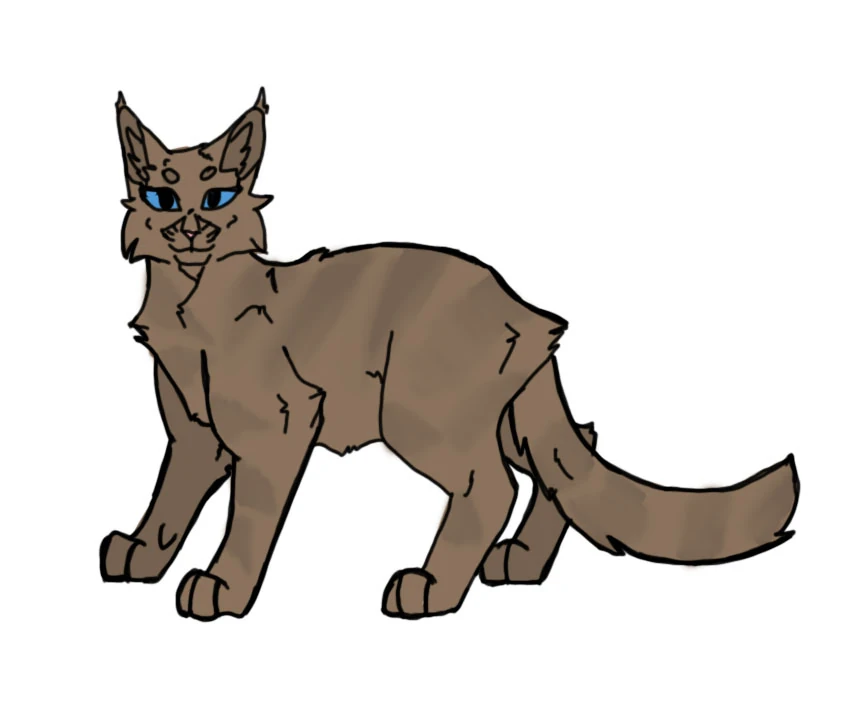 Koudy | Válečníci - Erin Hunterová Wiki | Fandom