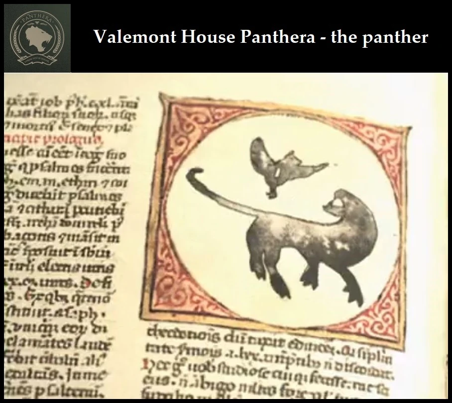 Panthera - the panther | Valemont Wiki | Fandom