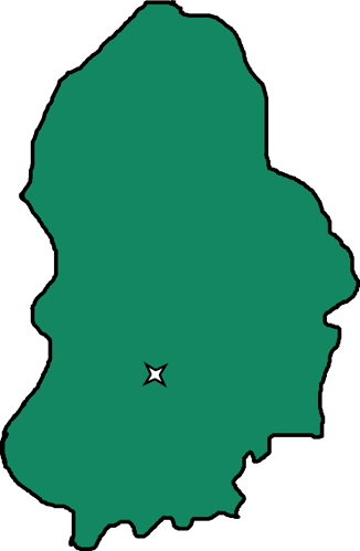 Poi | Valey Wiki | Fandom