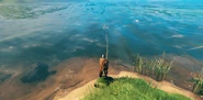 Fish | Valheim Wiki | Fandom