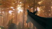 Deer | Valheim Wiki | Fandom