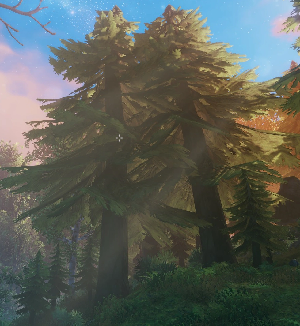 Ялиця | Вікі Valheim | Fandom