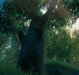 Oak | Valheim Wiki | Fandom