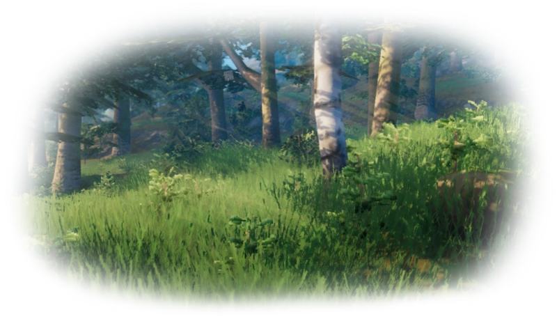 Biomas | Valheim Wiki | Fandom