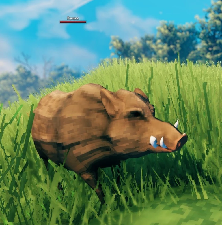 Kanec | Valheim Wikia | Fandom