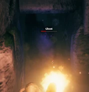 Ghost | Valheim Wiki | Fandom