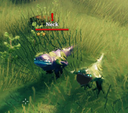 Neck | Valheim Wiki | Fandom