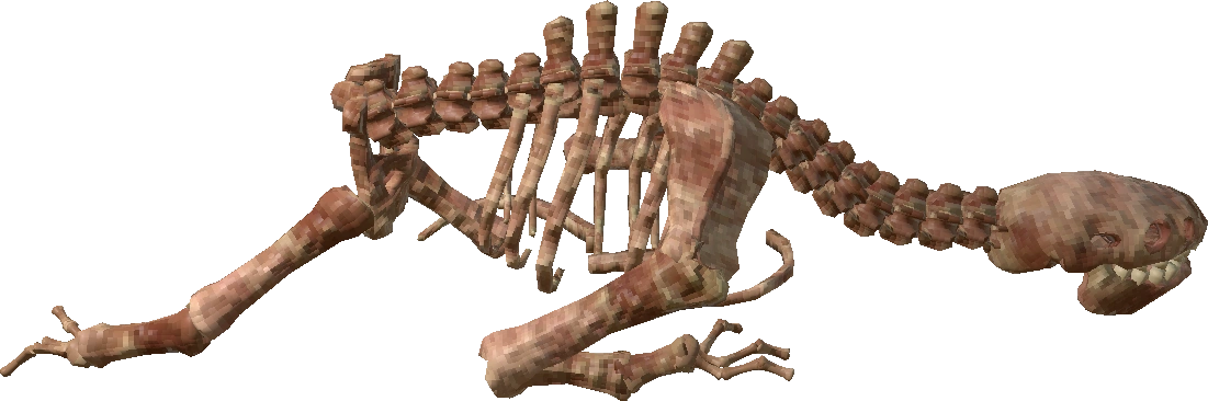 Asksvin carrion | Valheim Wiki | Fandom