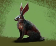 Hare | Valheim Wiki | Fandom