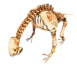 Asksvin skeleton | Valheim Wiki | Fandom