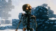 Skeleton | Valheim Wiki | Fandom