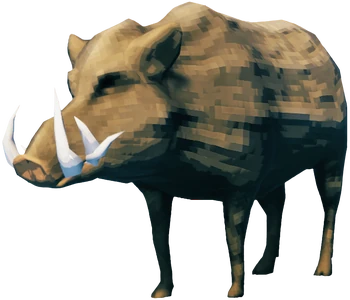 Boar | Valheim Wiki | Fandom
