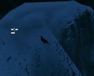 Crow | Valheim Wiki | Fandom