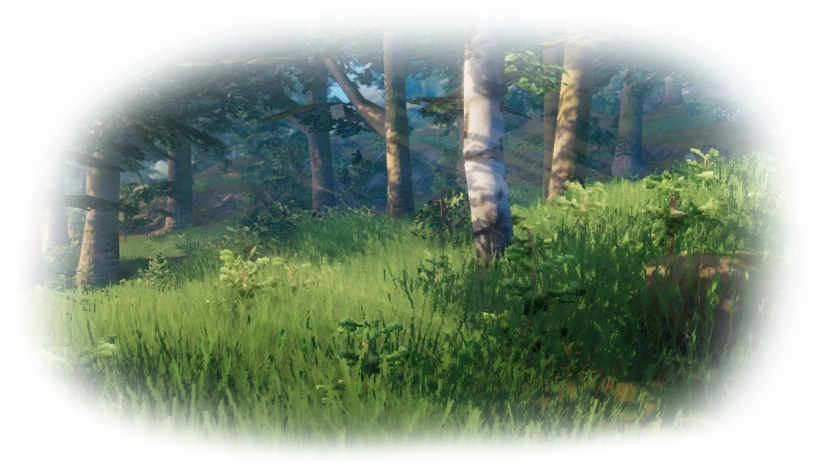 Biom | Valheim Wiki | Fandom