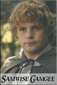 Samwise Gamgee | Valinorian Chronicles Wiki | Fandom