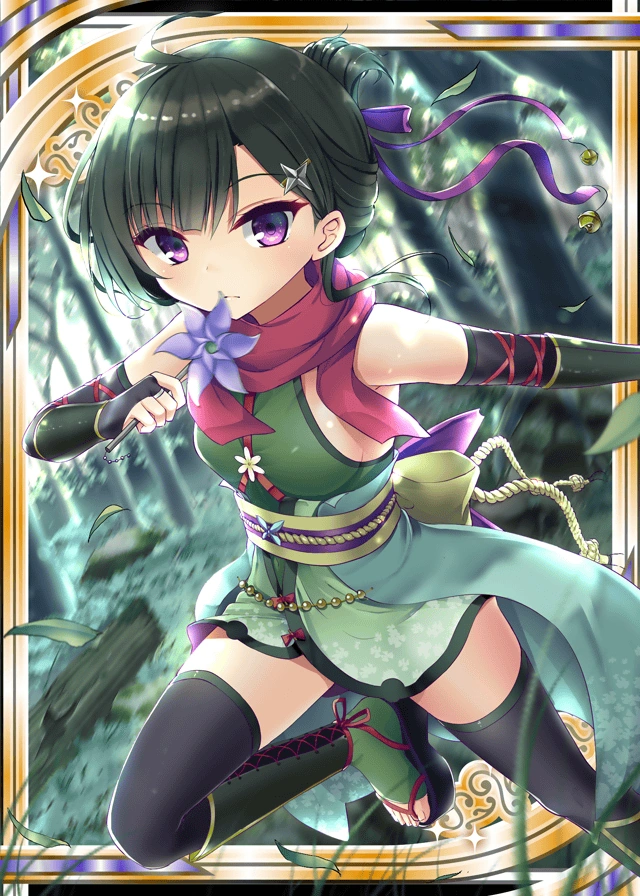 Wind Ninja | Valkyrie Crusade Wiki | Fandom