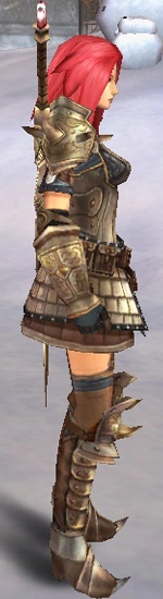 Swordsman Fierce Costume | Valkyrie Sky Wiki | Fandom