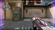 Double Tap | Valorant Wiki | Fandom