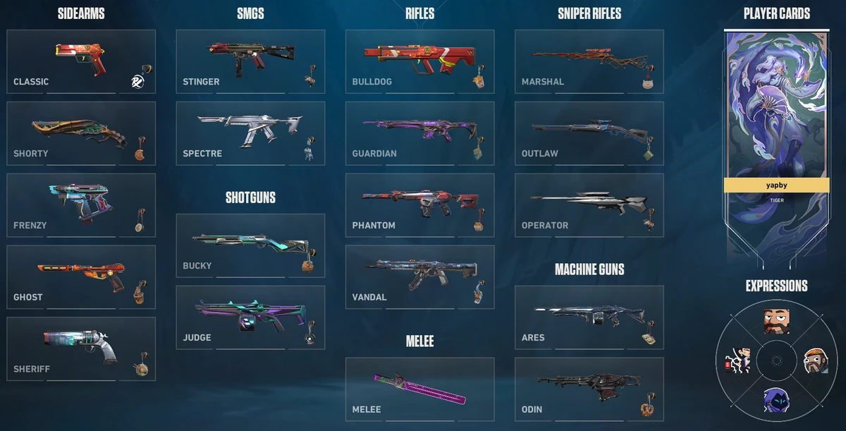 Cosmetics | Valorant Wiki | Fandom